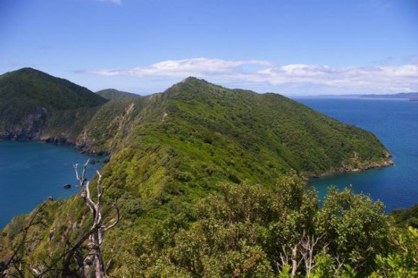 Nukuwaiata / Inner Chetwode Island – 1936 and 2011 – In the footsteps ...