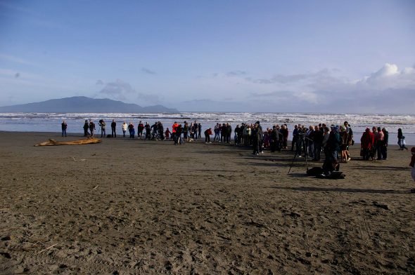 The global penguin – Part 2. The young emperor penguin pushes the ...