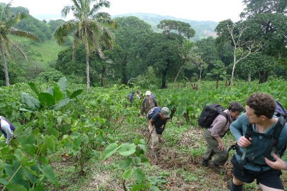 Fiji | Te Papa’s Blog