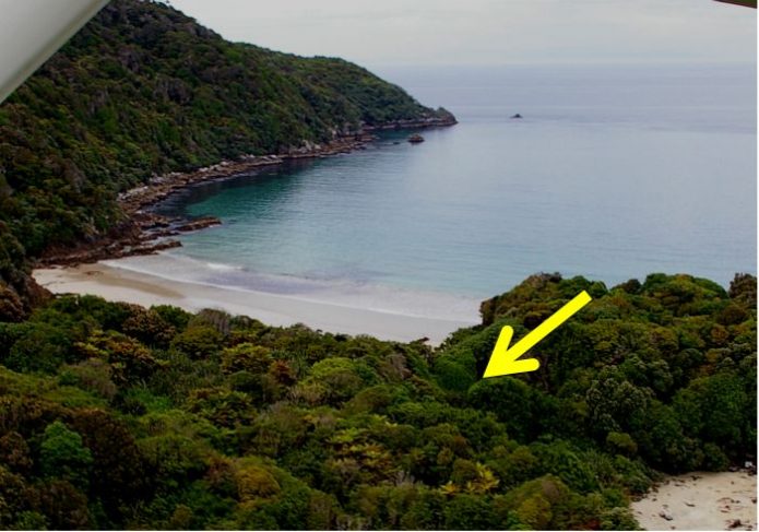 Whenua Hou / Codfish Island – 1934 and 2011 – In the footsteps of Edgar ...