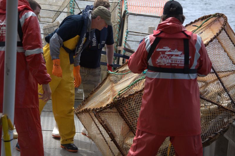Fish team research expedition | Te Papa’s Blog