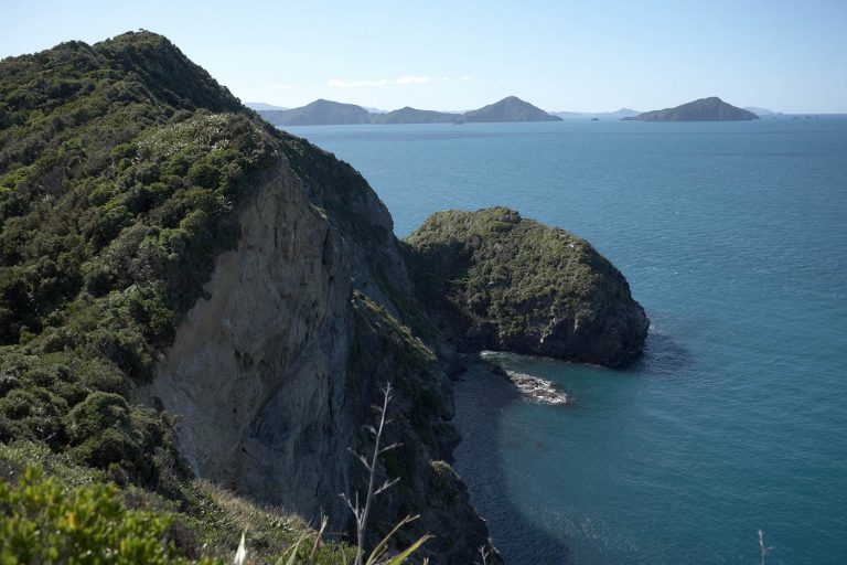 Plant communities of Titi Island, Marlborough Sounds | Te Papa’s Blog
