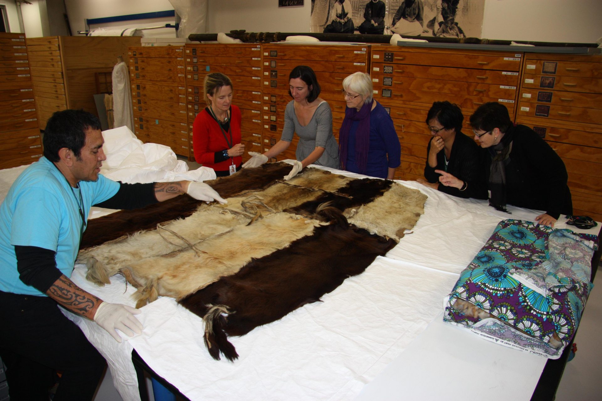 Unique dog skin cloak – soon to be on show at Te Papa | Te Papa’s Blog