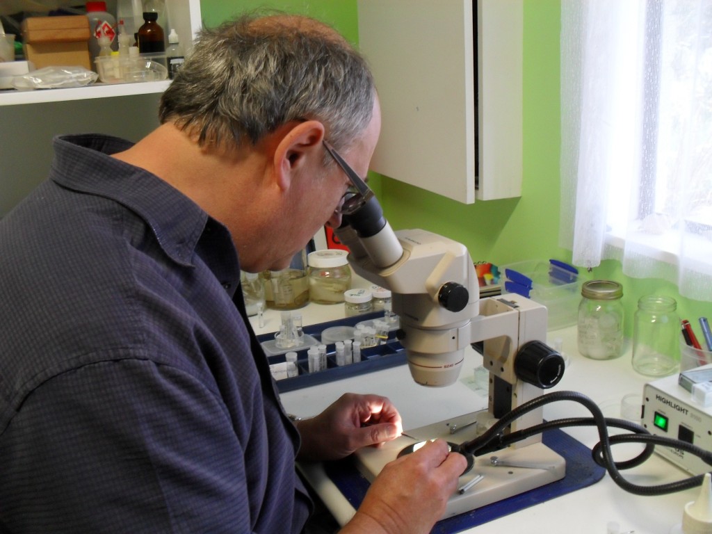 Hoards but not seen | Te Papa’s Blog