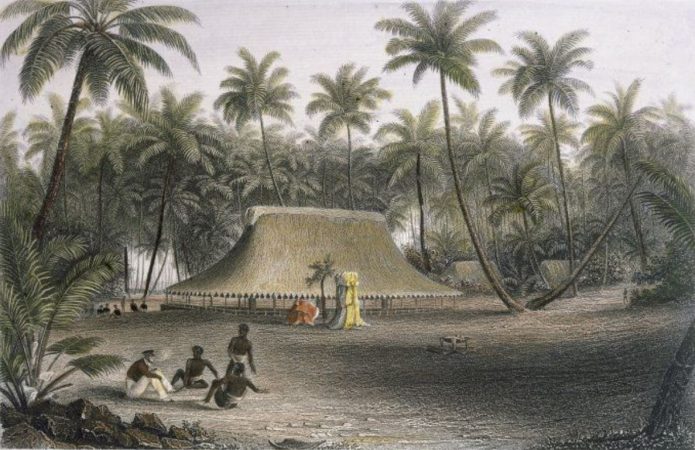 An environmental profile of Tokelau | Te Papa’s Blog