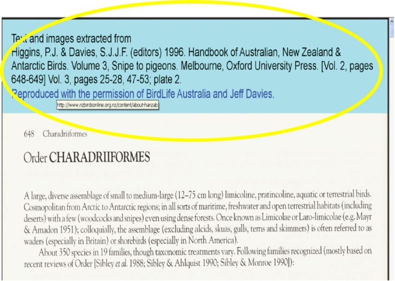 HANZAB is now on NZ Birds Online! | Te Papa’s Blog