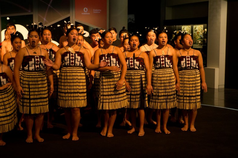 Whiti Te Rā! The Story of Ngāti Toa Rangatira – now open! | Te Papa’s Blog