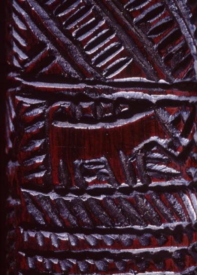Tongan language week 2014 | Te Papa’s Blog