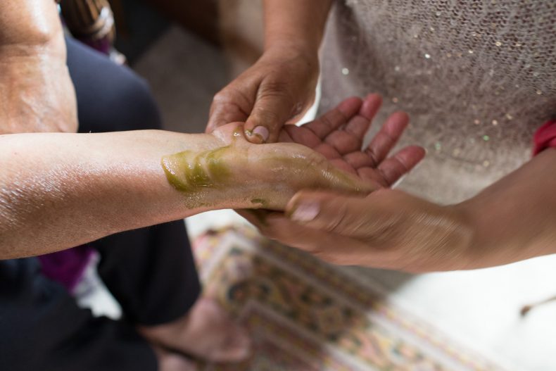 Rongoā Māori: harvesting tutu for a healing balm | Te Papa’s Blog