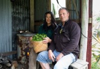 Rongoā Māori|Māori Medicine | Te Papa’s Blog