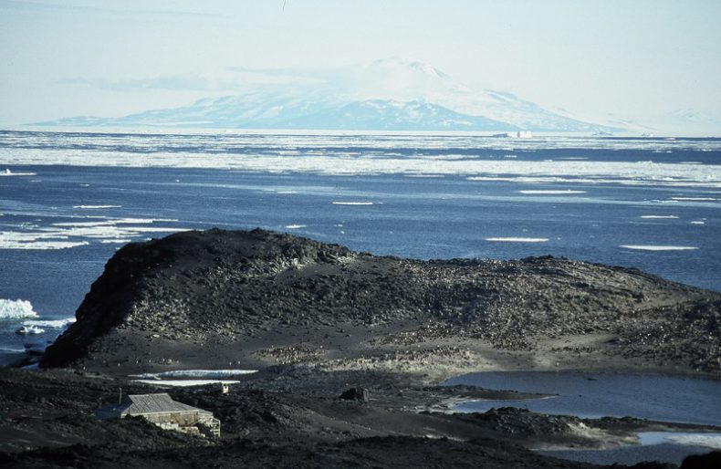 Antarctic – The southernmost penguin colony | Te Papa’s Blog