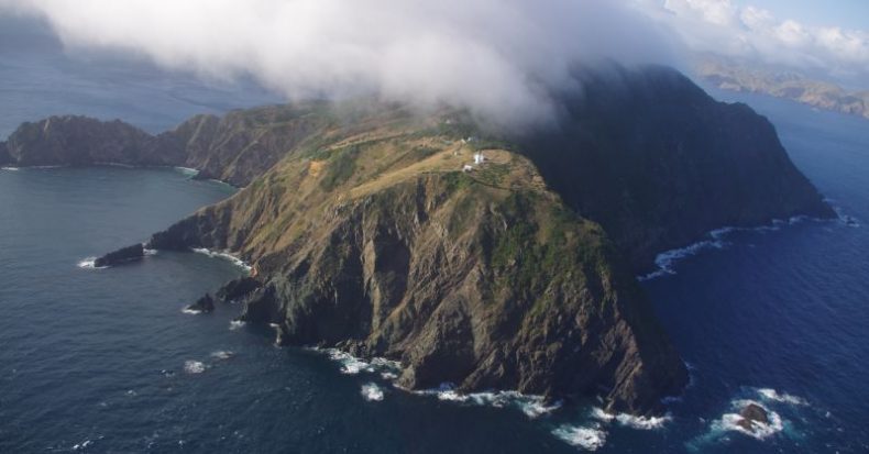 Insects of Takapourewa / Stephens Island | Te Papa’s Blog