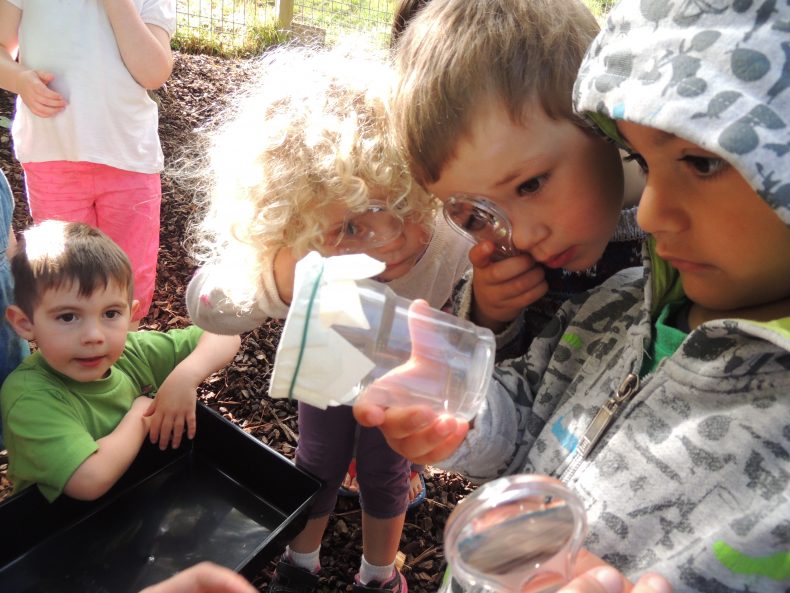 It’s a Bug’s Life Education Resource Project | Te Papa’s Blog