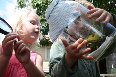 It’s a Bug’s Life Education Resource Project | Te Papa’s Blog