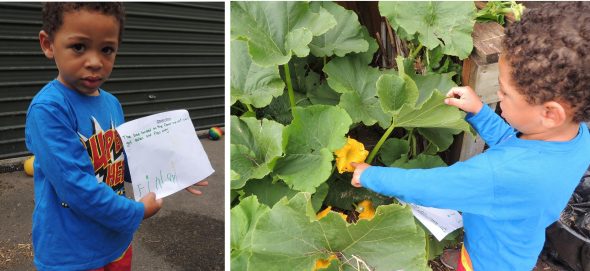 It’s a Bug’s Life Education Resource Project | Te Papa’s Blog