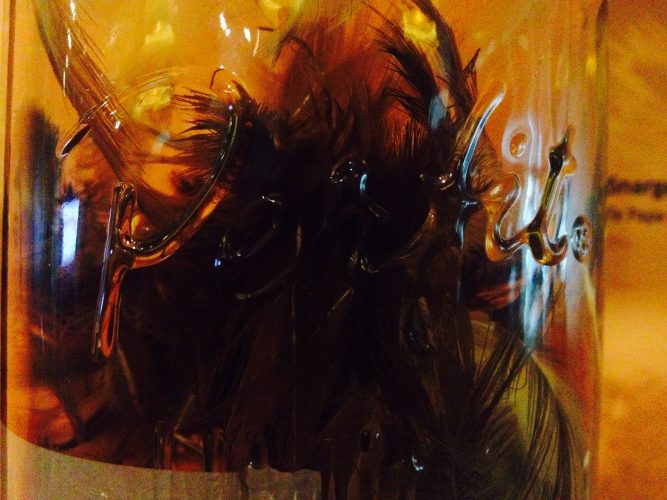 The tale of Snarge | Te Papa’s Blog