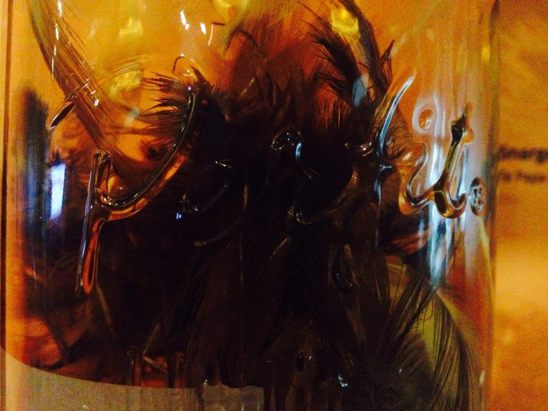 The tale of Snarge | Te Papa’s Blog