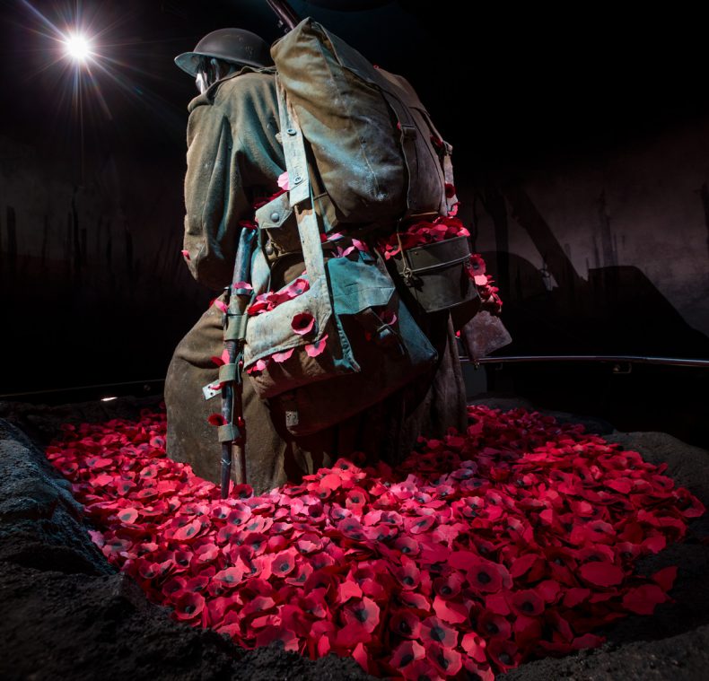 Gallipoli: The scale of our war – in poppies | Te Papa’s Blog