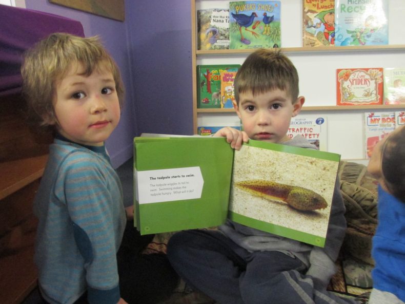 Tadpole Tangent – It’s a Bug’s Life update from Kiwi Kids ECE | Te Papa ...