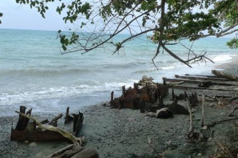 Expedition to the Solomon Islands | Te Papa’s Blog