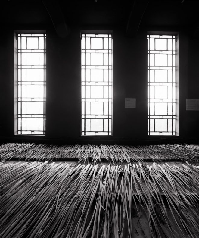 Transient Spaces – A Photographic Journey | Te Papa’s Blog