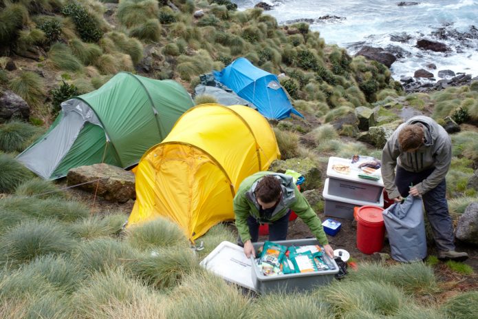 Hautere/Solander Island, The Capital of Albatrossness | Te Papa’s Blog