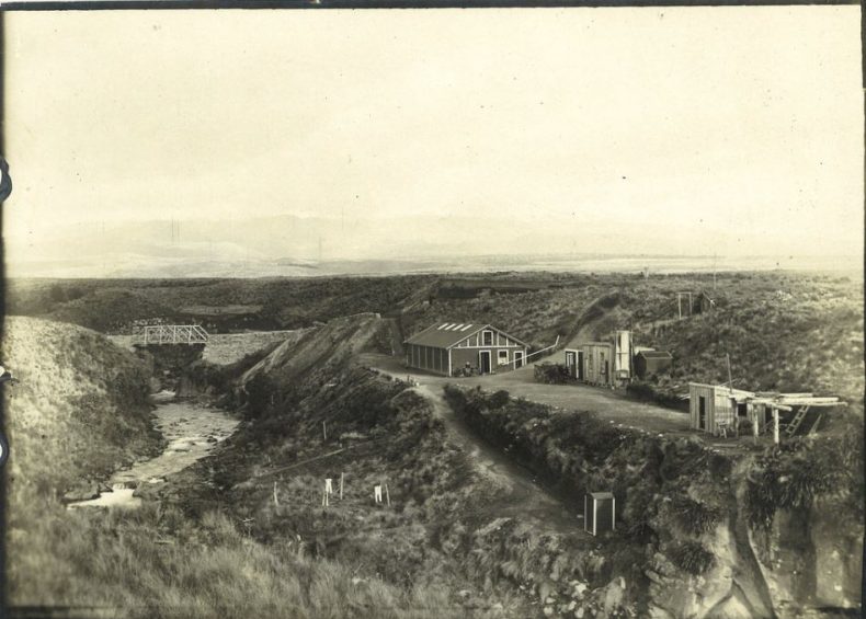 Dissent during the First World War: by the numbers | Te Papa’s Blog