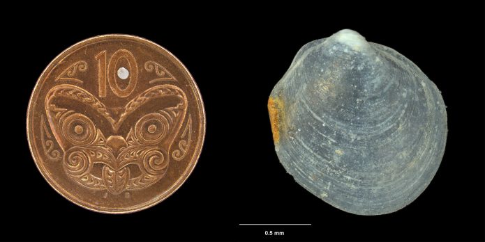 A new microscope: how improved technology is making our work easier ...