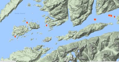 The petrels of Dusky Sound | Te Papa’s Blog