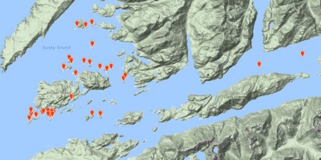 Dusky Sound – rich in history and wildlife | Te Papa’s Blog