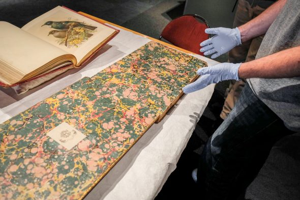 Rare books and the marvellous art of marbling | Te Papa’s Blog