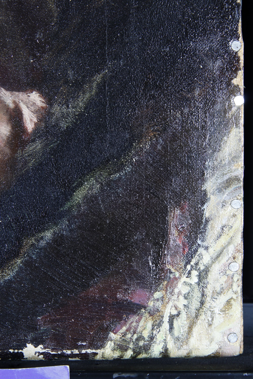 Movembering Dr Hassell and his magnificent mo | Te Papa’s Blog