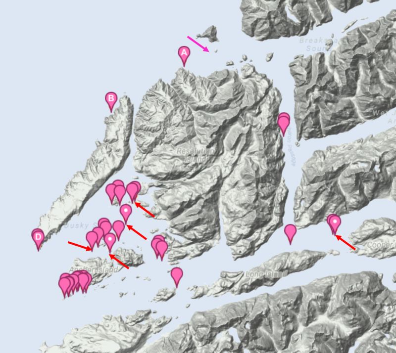 Further flax weevil finds from farthest Fiordland | Te Papa’s Blog