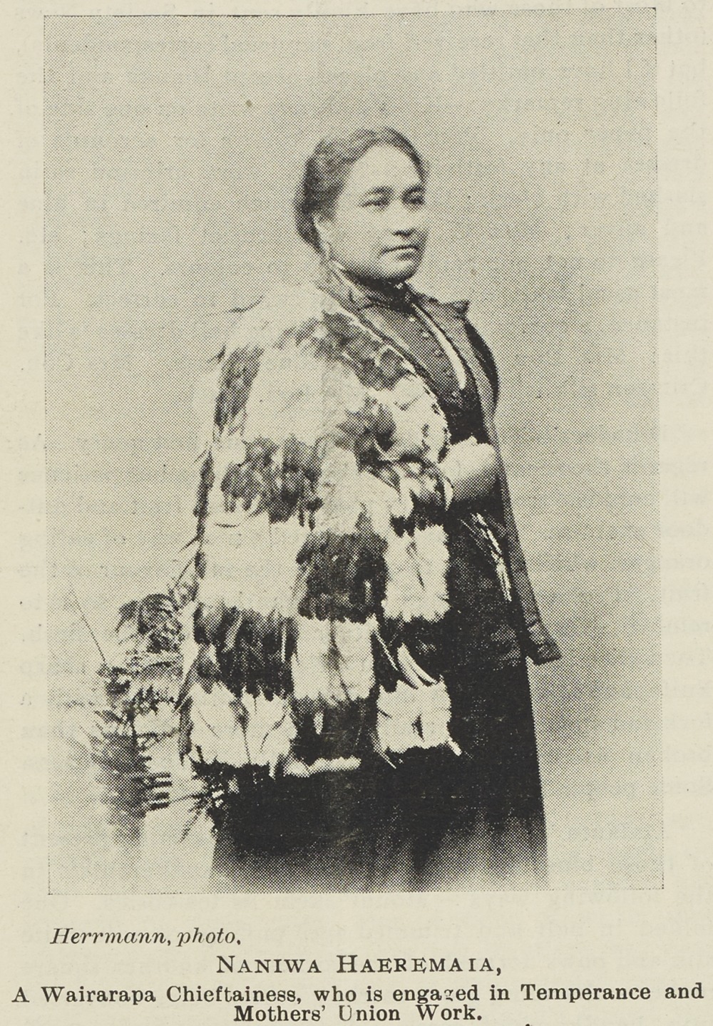 | Te Papa’s Blog