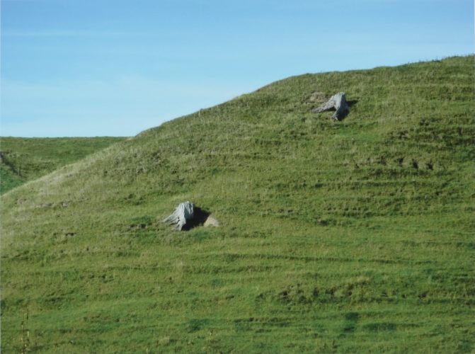 Peter Peryer, photographer (1941–2018) | Te Papa’s Blog