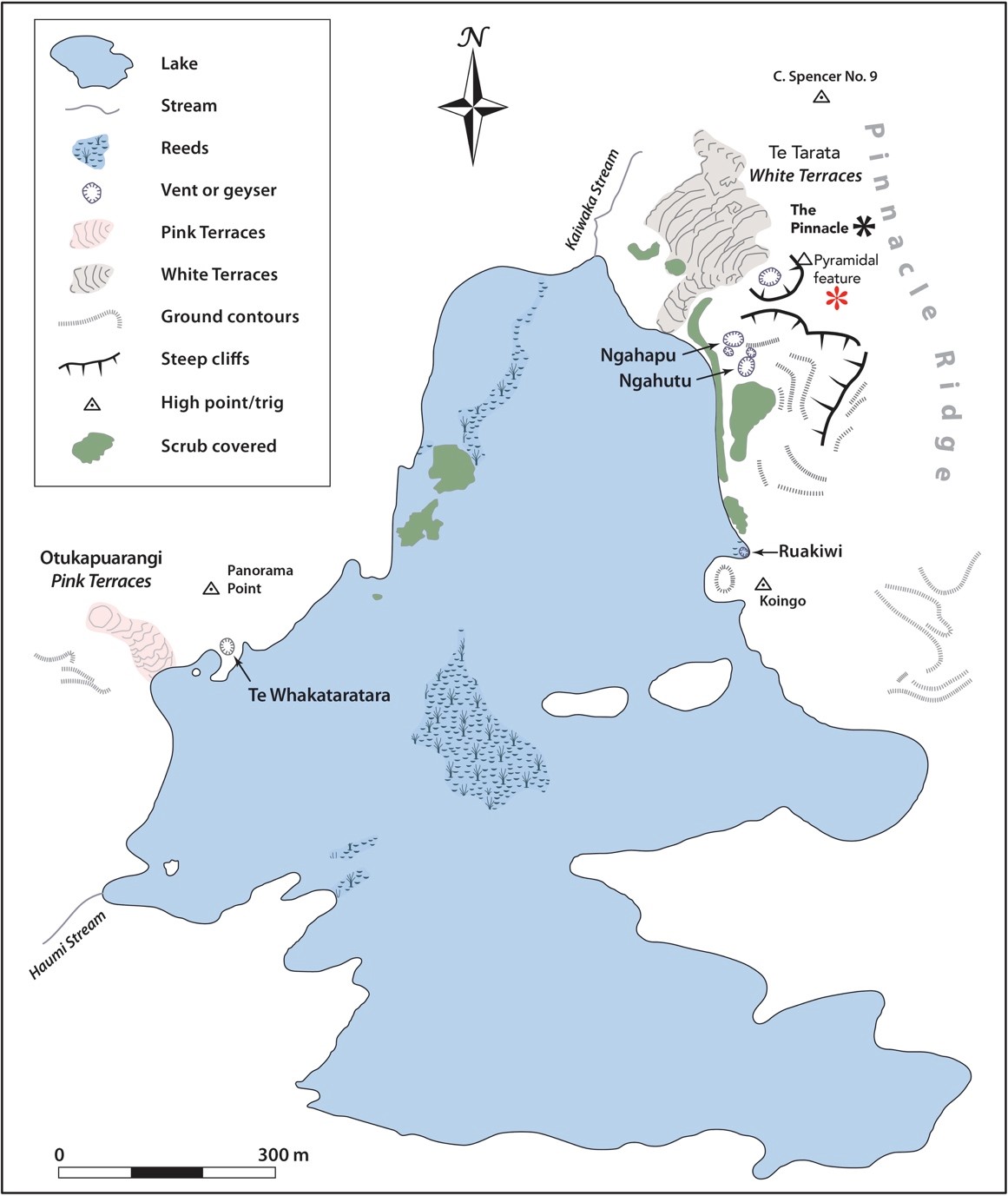 George Fig. 4 | Te Papa’s Blog