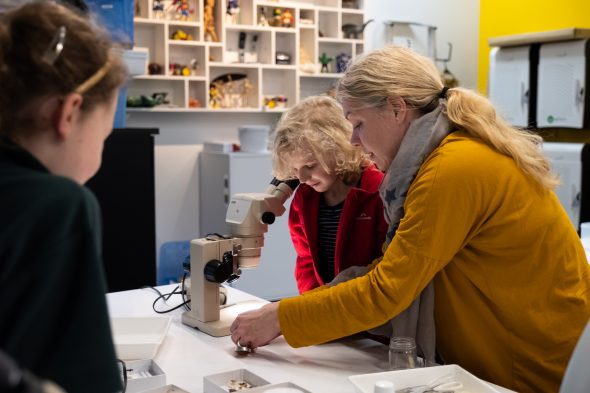 Julia Kasper – Te Papa’s Blog