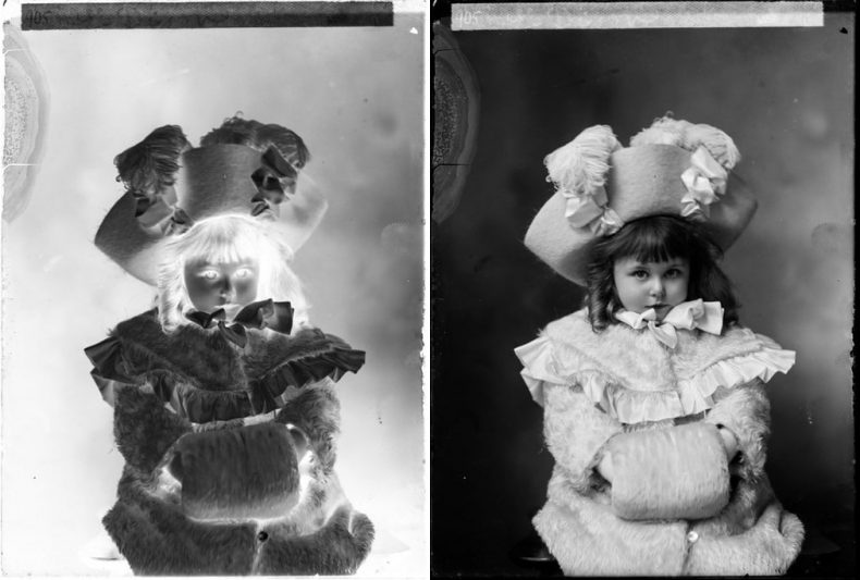 Curious, cute, or edgy: cataloguing old negatives | Te Papa’s Blog