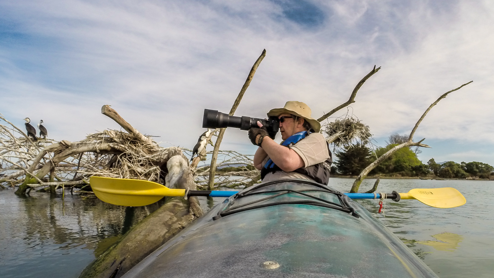 DCIM103GOPRO | Te Papa’s Blog