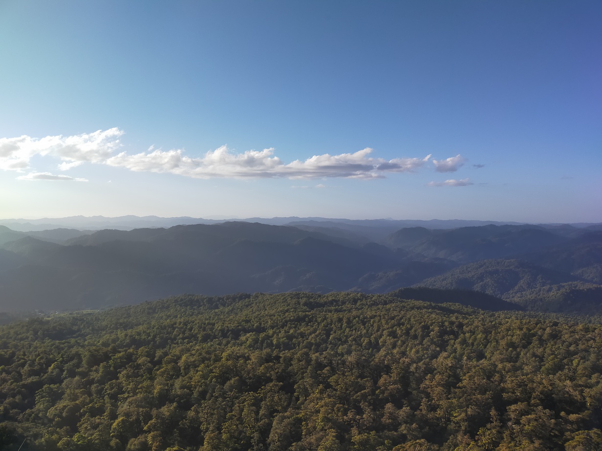 View from the maunga to Maungapohatu village and surrounding bush, Dec ...