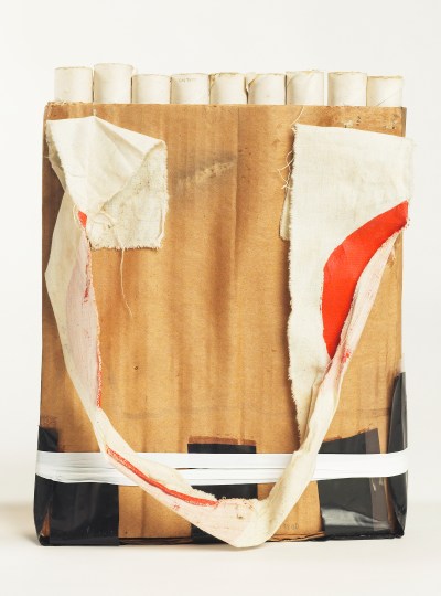 1981 Springbok Rugby Tour – Cardboard and clown suits | Te Papa’s Blog