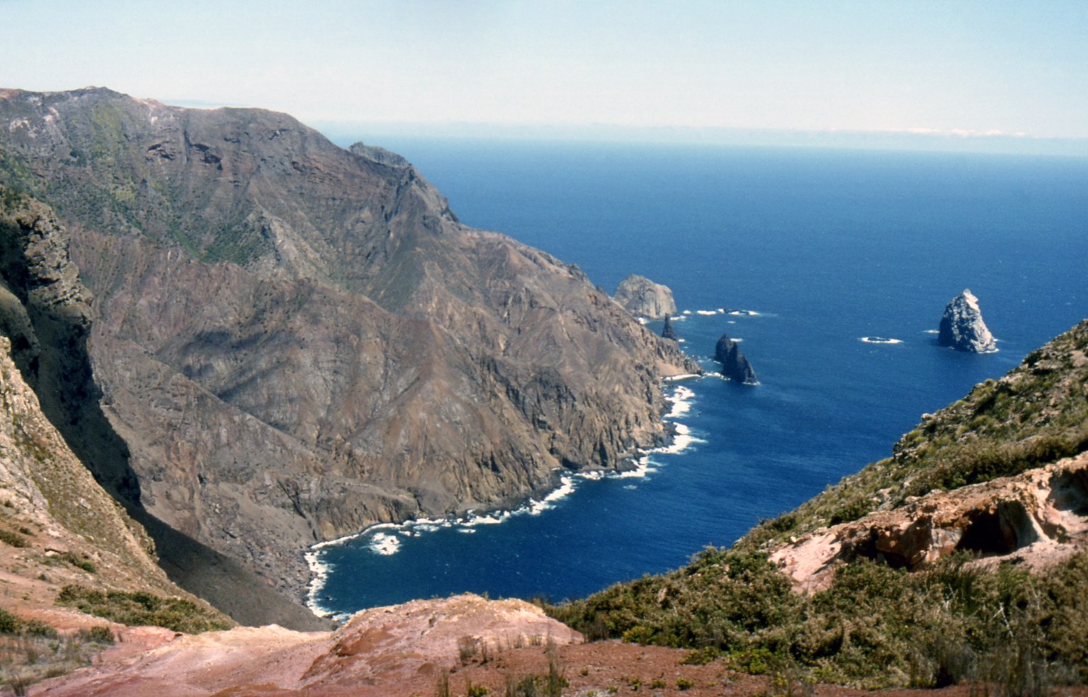 Extinct snail Chilonopsis melanoides – from the Atlantic to Aotearoa ...