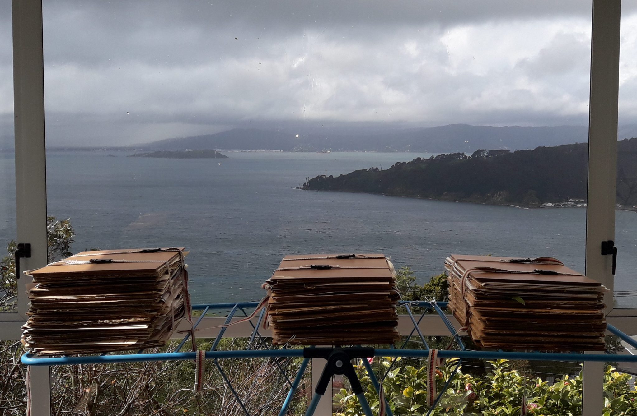 Lara Shepherd – Te Papa’s Blog