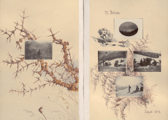 Margaret Stoddart’s ‘Yellow blossom and rosemary’: a prickly painting ...