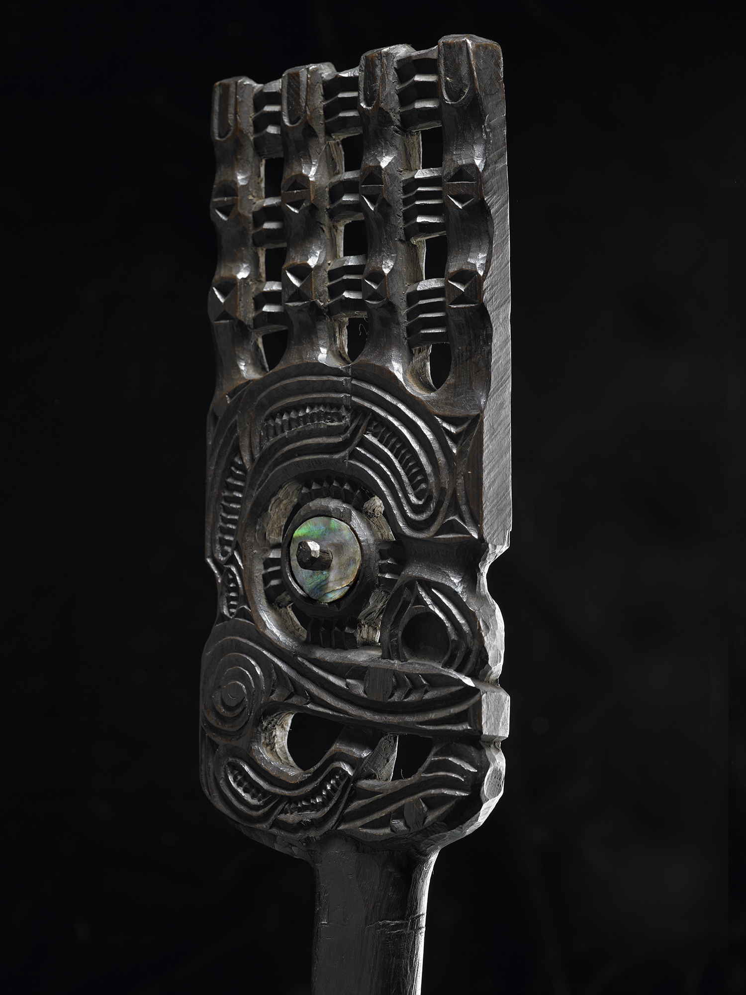 Stars of the Matariki cluster: Tupuānuku | Te Papa’s Blog