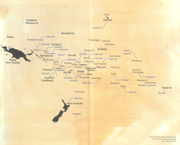 Stars of the Matariki cluster: Hiwaiterangi | Te Papa’s Blog