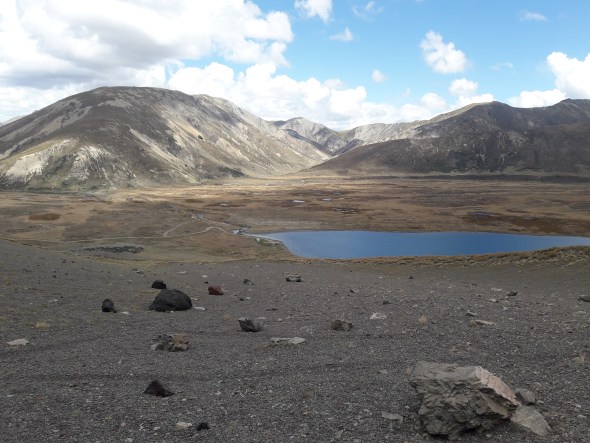 Speargrass collecting – a whirlwind tour of Te Waipounamu South Island ...