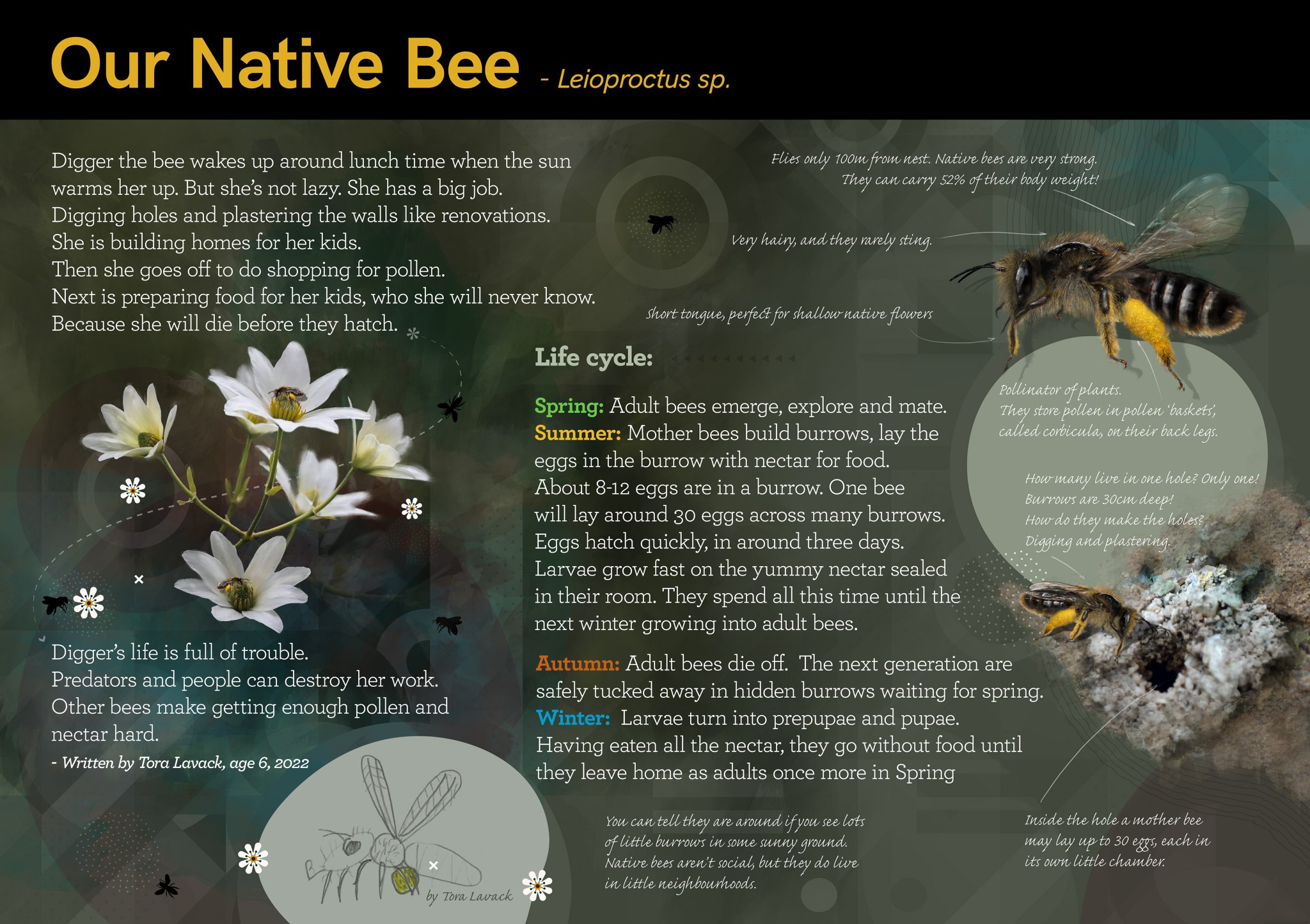 The Boy and the Bee | Te Papa’s Blog