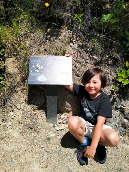 The Boy and the Bee | Te Papa’s Blog