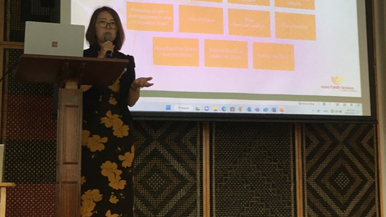 Reimagining Asian Mental Health – a reflection | Te Papa’s Blog